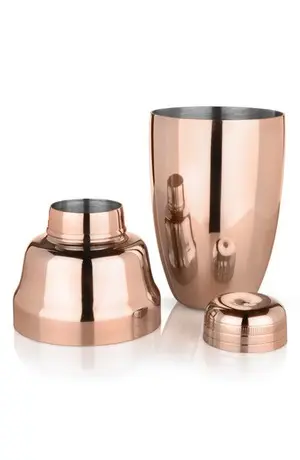 VISKI Heavyweight Cocktail Shaker