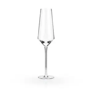 VISKI Raye Crystal Angled Champagne Flutes Set Of 2 - Clear