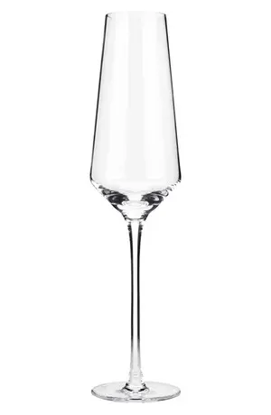 VISKI Raye Crystal Angled Champagne Flutes Set Of 2 - Clear