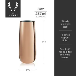 VISKI Summit Stemless Champagne Flutes Set Of 2