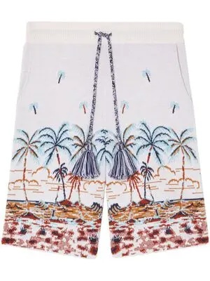 Alanui The Tale Of Hawaiian Shorts - Neutrals