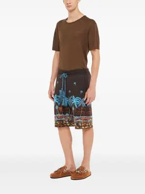 Alanui The Tale Of Hawaiian Shorts - Brown