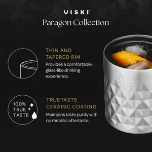 VISKI Paragon Stainless Steel Rocks Tumbler - Obsidian