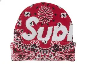 Supreme Patterned Hats For Women