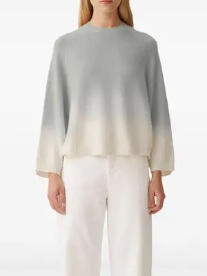 Fabiana Filippi Gradient-effect Sweater