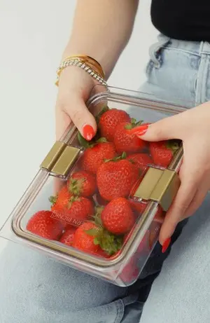 MODERN PICNIC Luncher + 1 Container Set
