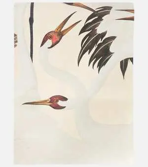 Gucci Heron Wallpaper - Multicoloured