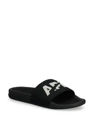 Apl Big Logo Techloom Slides