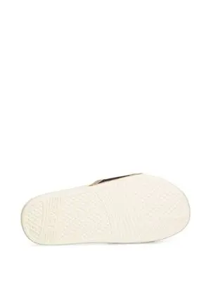 Apl Big Logo Techloom Slides - Brown