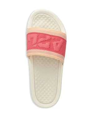 Apl Big Logo Techloom Slides - Pink