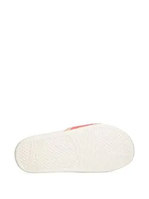 Apl Big Logo Techloom Slides - Pink