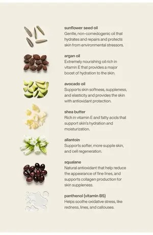 Evolvetogether Nutrient-rich Body Cream - Provence