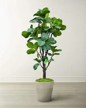 WINWARD HOME Fiddle Leaf Tree In Planter, 96 - Green Taupe