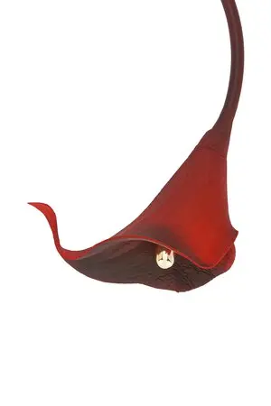 Cult Gaia Calla Choker Necklace - Vermillion Multi