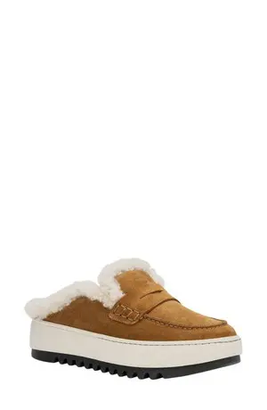 Aquatalia Perforated Shoes For Women