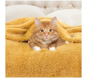 SUPERIOR Solid Fleece Medium Weight Fluffy Soft Blanket Throw