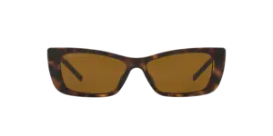 Gucci Gg1681s Sunglasses - Brown