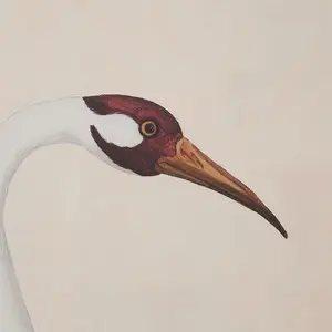 Gucci Heron Print Wallpaper