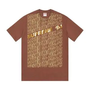 Supreme Respected Tee - Brown