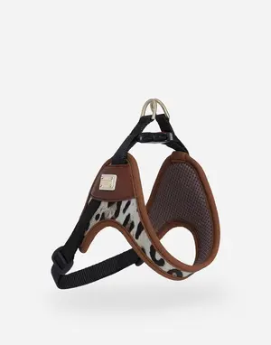 Dolce & Gabbana Dog Harness - Print