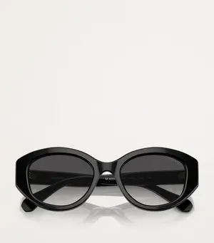 SWAROVSKI Oval Sk6005 Sunglasses - Black