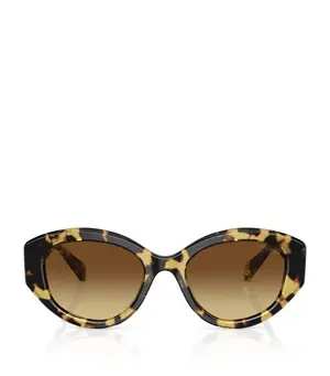 SWAROVSKI Oval SK6005 Sunglasses Brown