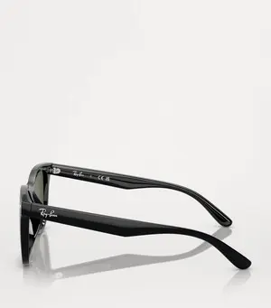 Ray-ban Rb4420 Sunglasses - Black