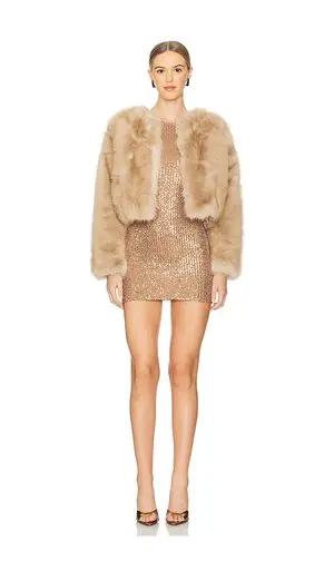 Superdown Ilona Mini Dress