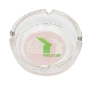 HOUSEPLANT BY SETH ROGEN Glass Ashtray Memory