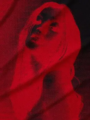 Supreme X Faribault Kate Moss Blanket