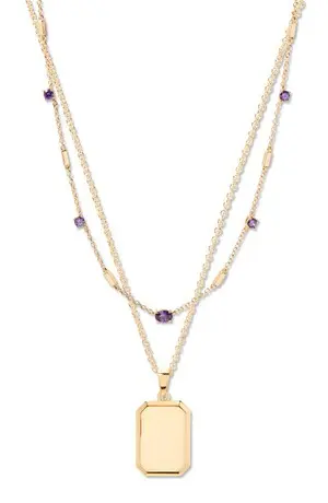 BROOK & YORK Brook And York Willow Birthstone Layered Necklace Gold February