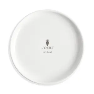 L'Objet Neptune Saucer
