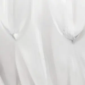 Lalique Crystal Plumes Bowl