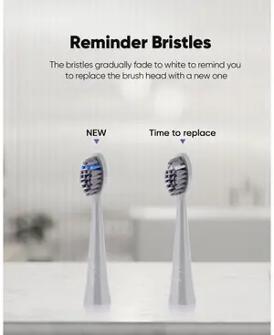 MYSMILE Dy156 Electric Toothbrush Replacement Heads - Grey