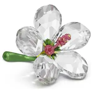 SWAROVSKI Florere Hibiscus - White