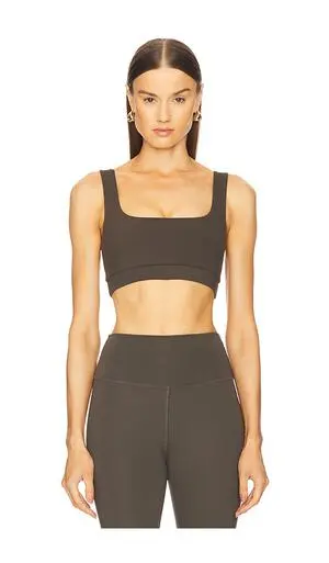 Strut This Scoop Neck Sports Bras