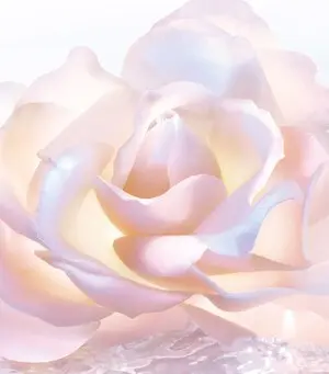 Dior Prestige L’oléo-essence Lumière - White