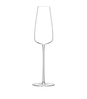 LSA INTERNATIONAL Wine Culture Champagne Flutes