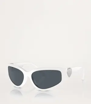Tiffany & Co. Acetate Oval Sunglasses