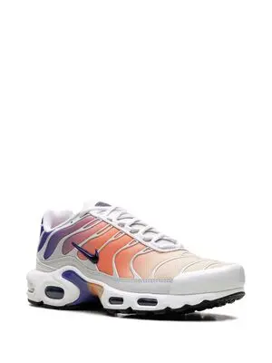 Nike Air Max Plus Sneakers