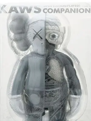 KAWS Companion