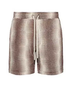Oas Echo Net Shorts