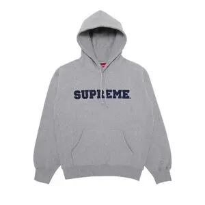 Supreme Collegiate Hooded Sweatshirt - Grey