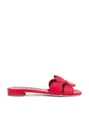 Women's Manolo Blahnik Flat Sandals