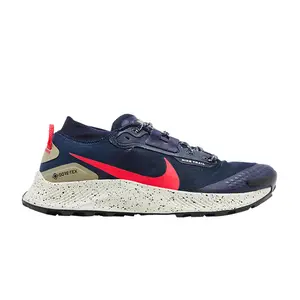 Nike Pegasus Trail 3 Gore-tex - Blue