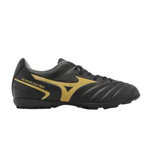 Mizuno Lace Up Shoes For Men