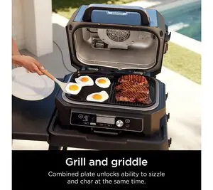 NINJA Woodfire Grill & Griddle Plate