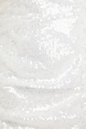 ENVELOPE 1976 Stardust Sequin Gown