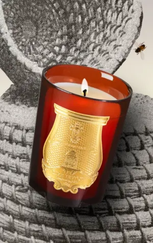TRUDON Cire Candle 270 - Beeswax Absolute