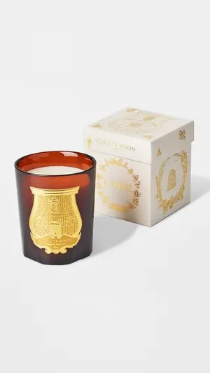 TRUDON Cire Candle 270 - Beeswax Absolute